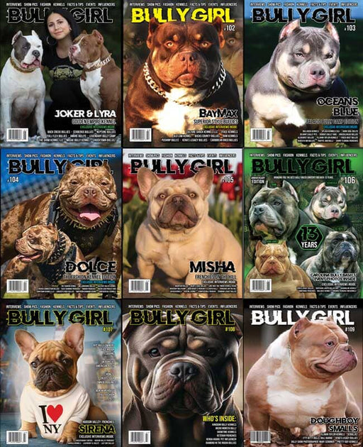 Bully Girl Magazine: The Best Resource for Bully Dog Breeders | BGM Warehouse