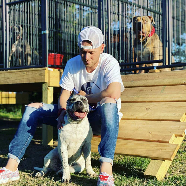 Beast Texas Bullies: XL American Bully Breeder in Texas | BGM Warehouse