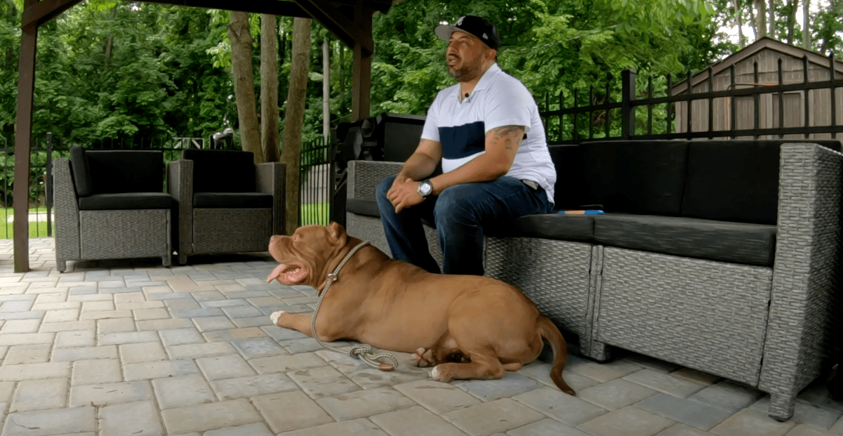 Best Dog Food for an XL Bully - Danny Cervantes | BGM Warehouse
