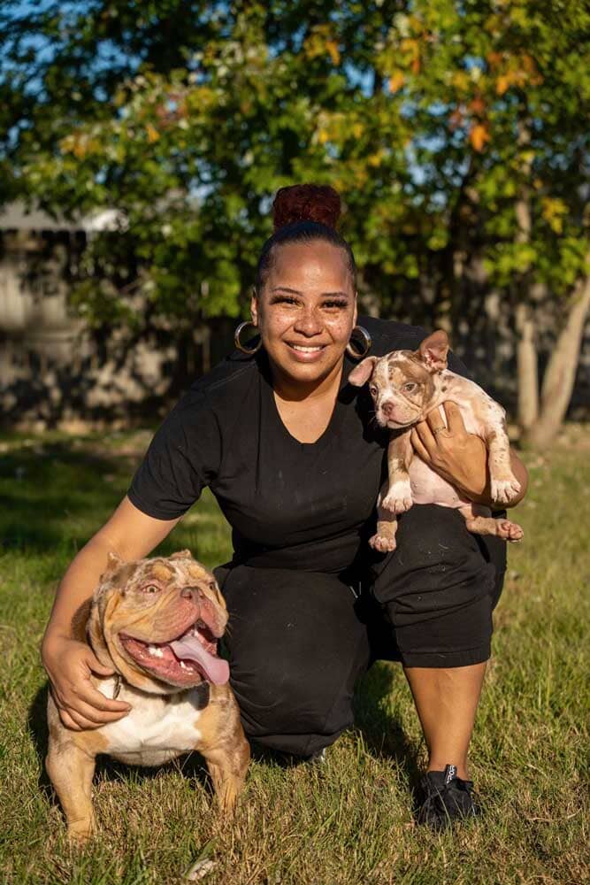 Big Bag Bullies: French Bulldog and Micro Bully Breeder in Georgia ...