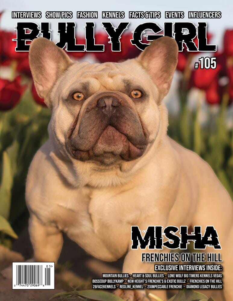 Bully Girl Magazine Issue 105 | BGM Warehouse