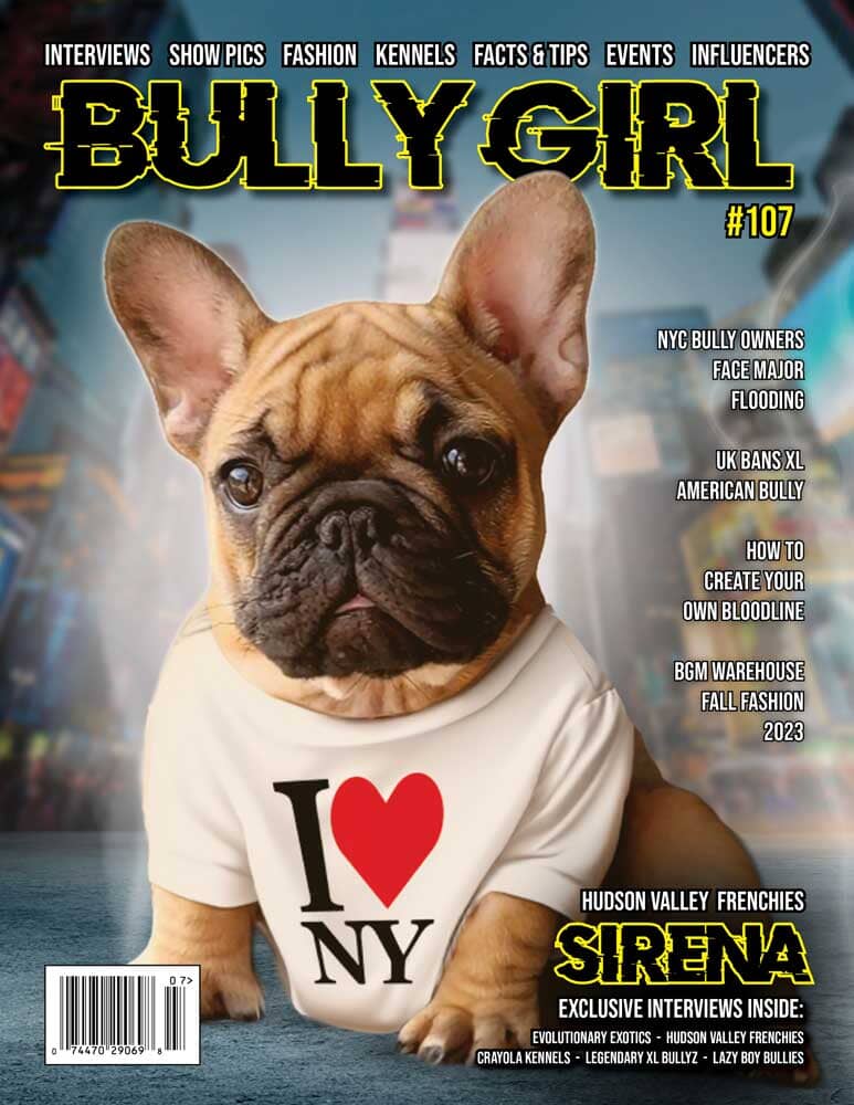 Bully Girl Magazine Issue 107 | BGM Warehouse