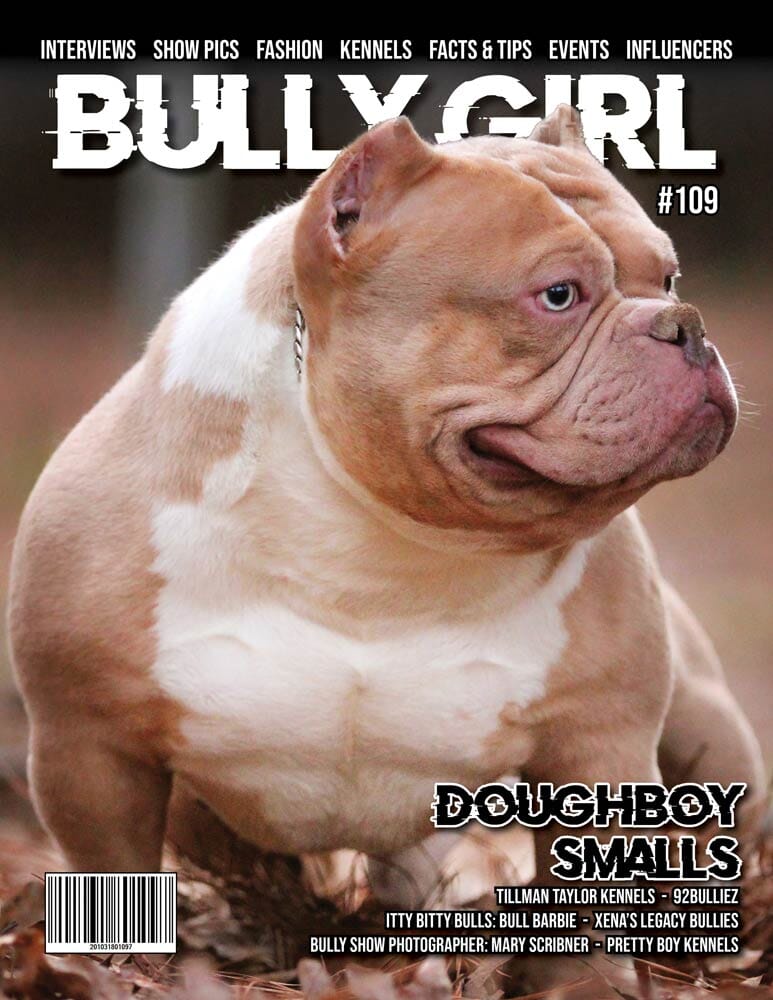 American Bully Magazines | BGM Warehouse