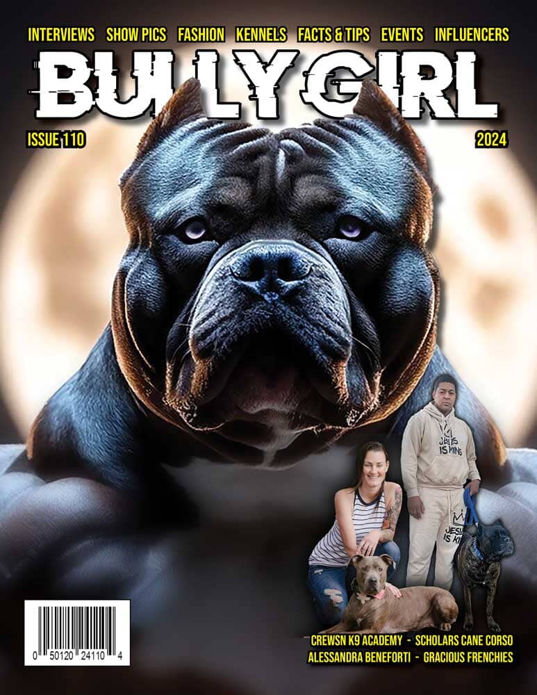 Best American Bully Store for Bully Breed Enthusiasts.