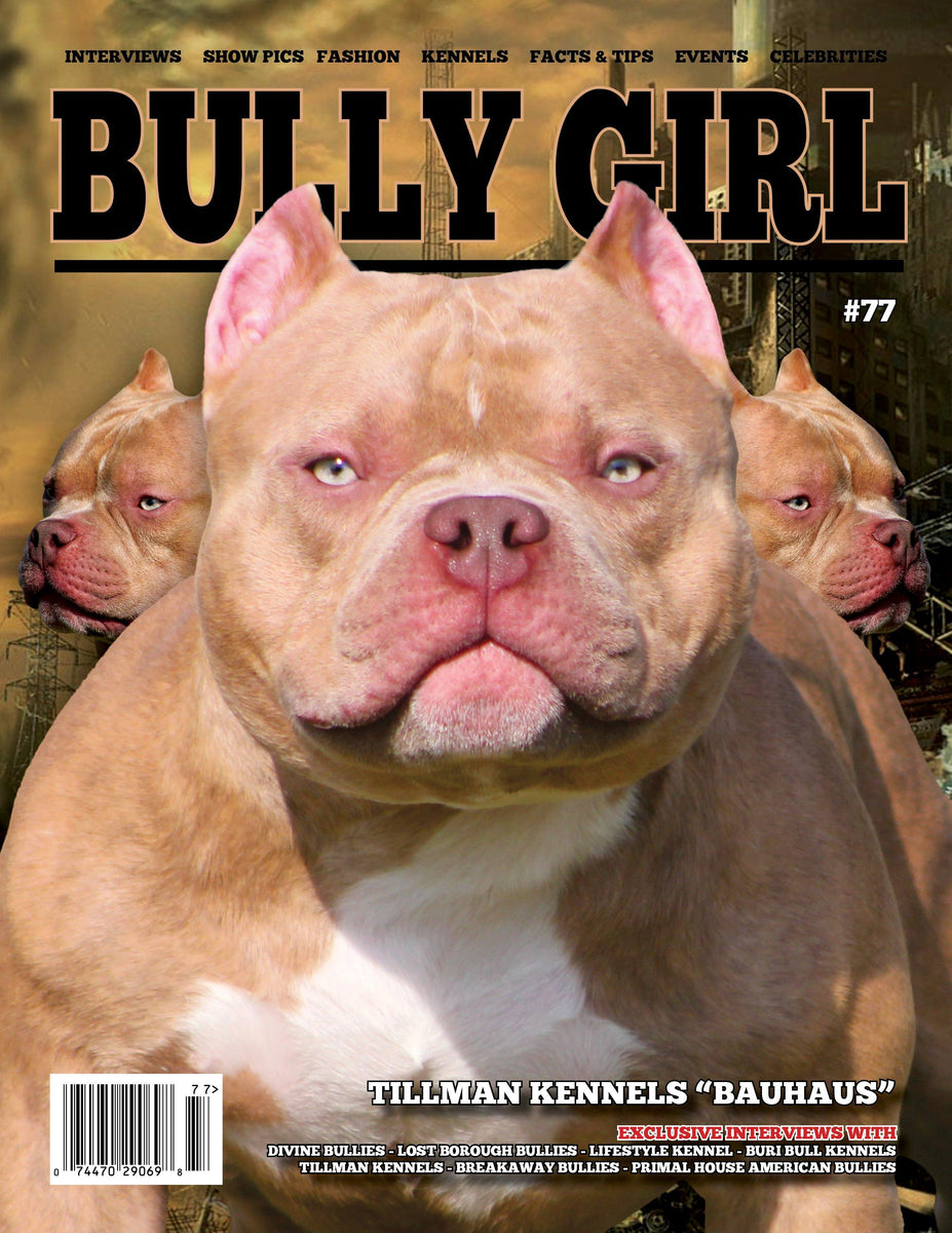 Bully Girl - Digital Issue 77