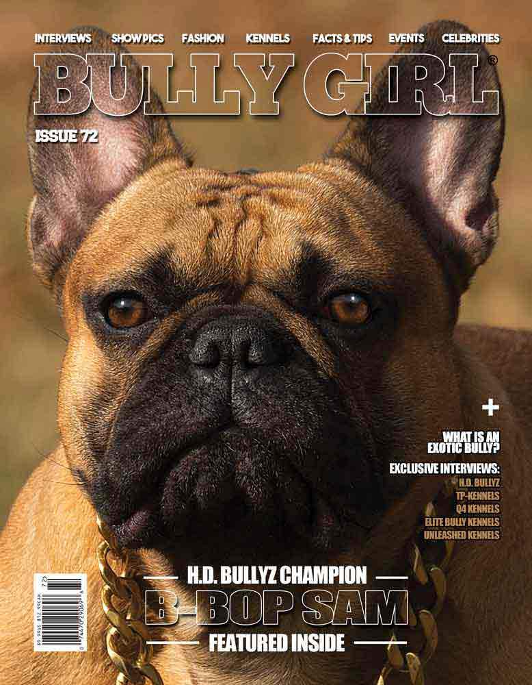 Bully Girl - Digital Issue 72 | BGM Warehouse