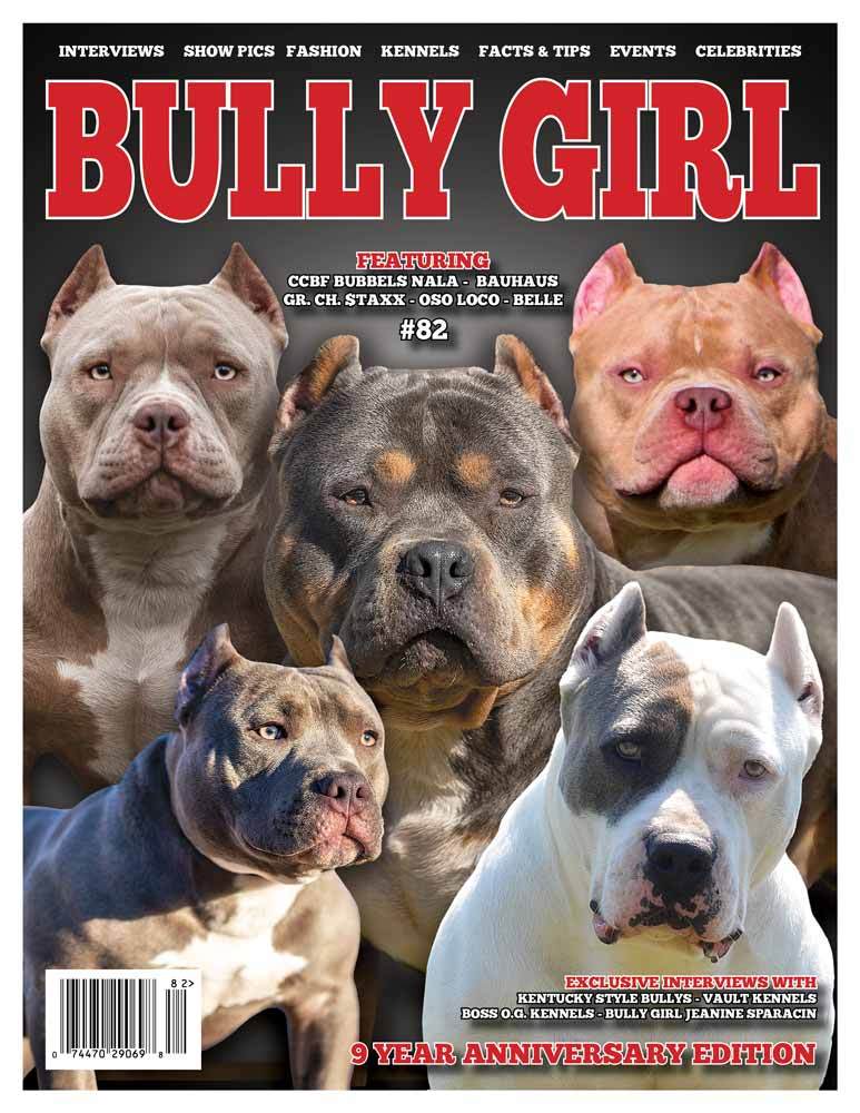 American Bully Magazines | BGM Warehouse