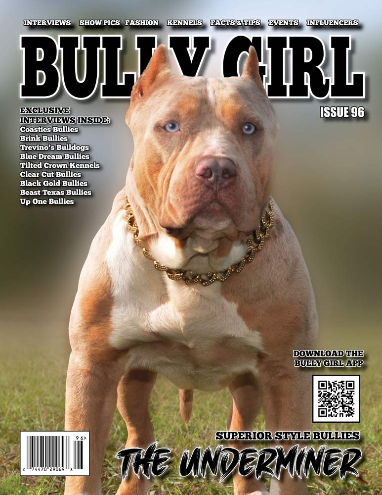 American Bully Magazines | BGM Warehouse