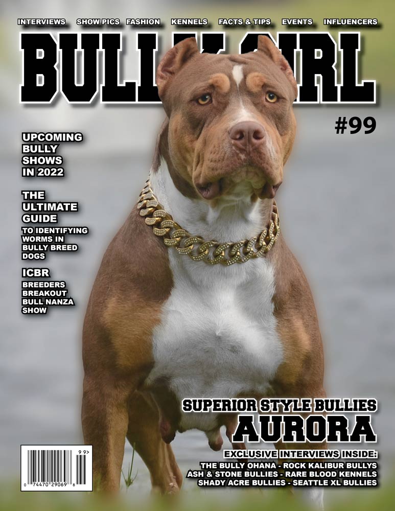 American Bully Magazines | BGM Warehouse